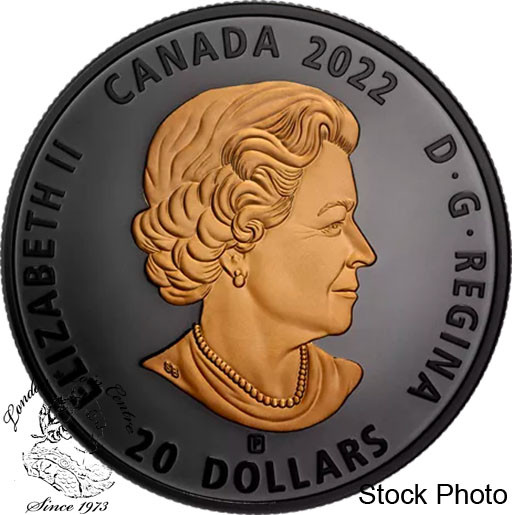 Canada: 2022 $20 Black and Gold: The Sea Otter Pure Silver Coin ...