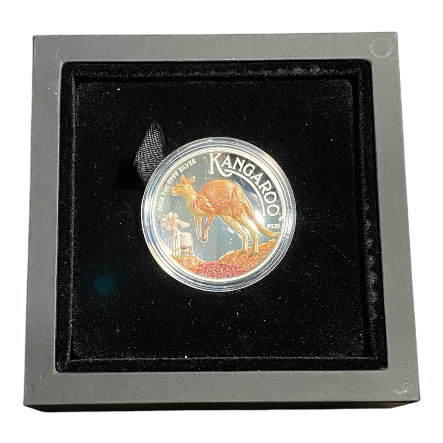 Australia: 2024 $1 Kangaroo 1 oz Silver Coloured Coin - London Coin ...