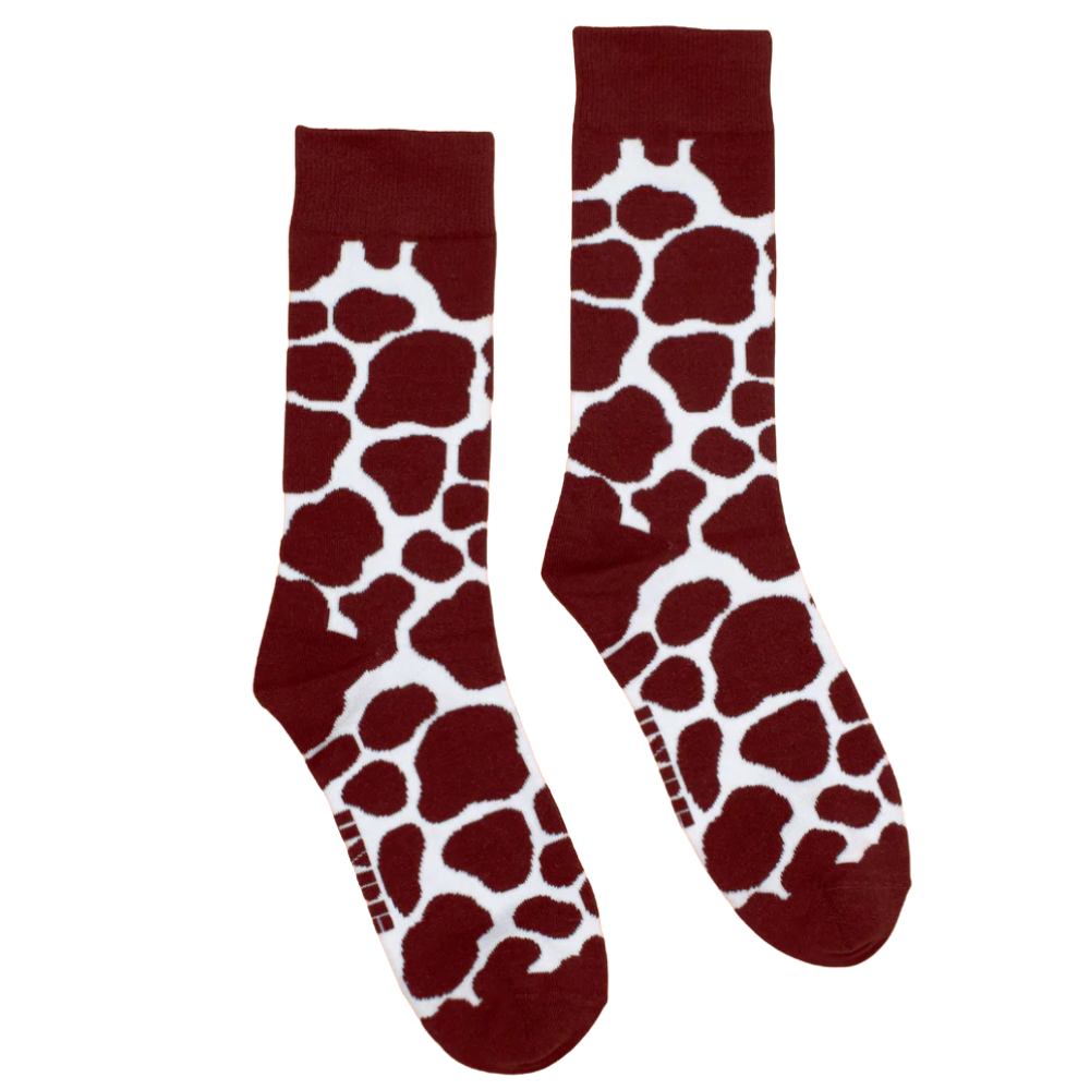 Chocolate Milk Socks in Carton Canada | RetroFestive.ca