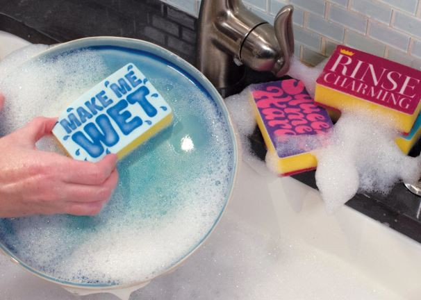Make Me Wet Kitchen Sponge Set - RetroFestive.ca
