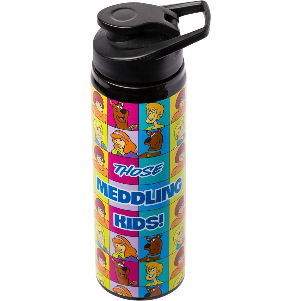 Scooby Doo Those Meddling Kids 25oz Stainless Water Bottle ...