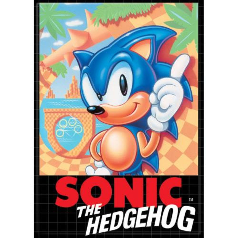 Sonic The Hedgehog 16 Bit Cartridge Flat Fridge Magnet - RetroFestive.ca