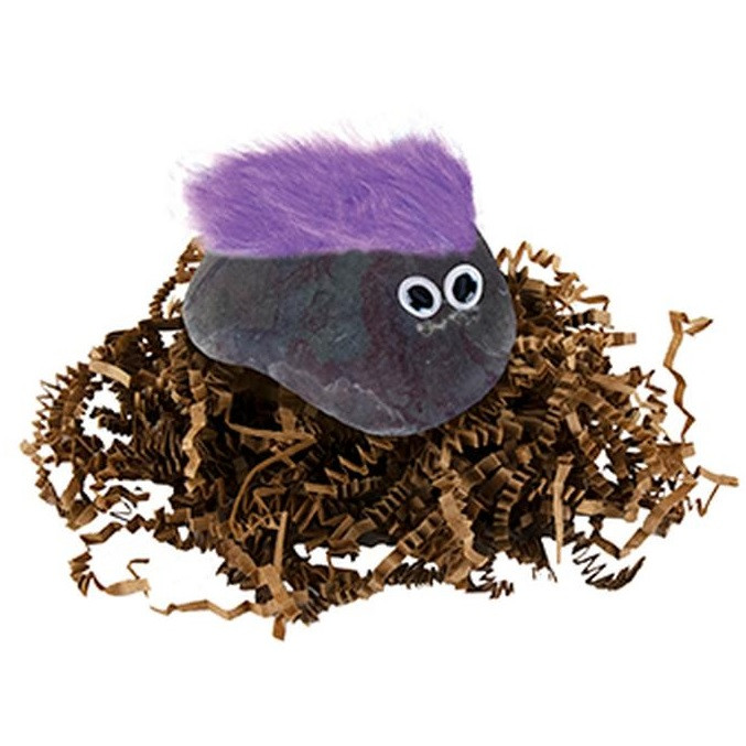 Original Classic Pet Rock - RetroFestive.ca