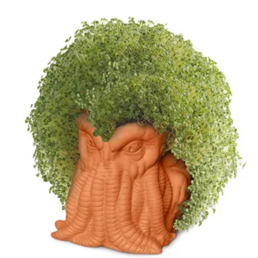 Chia Pet: CTHULHU - RetroFestive.ca
