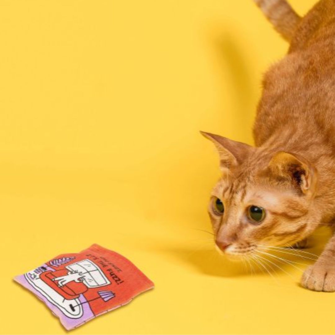 Busted It's The Fuzz! Catnip Cat Toy - RetroFestive.ca
