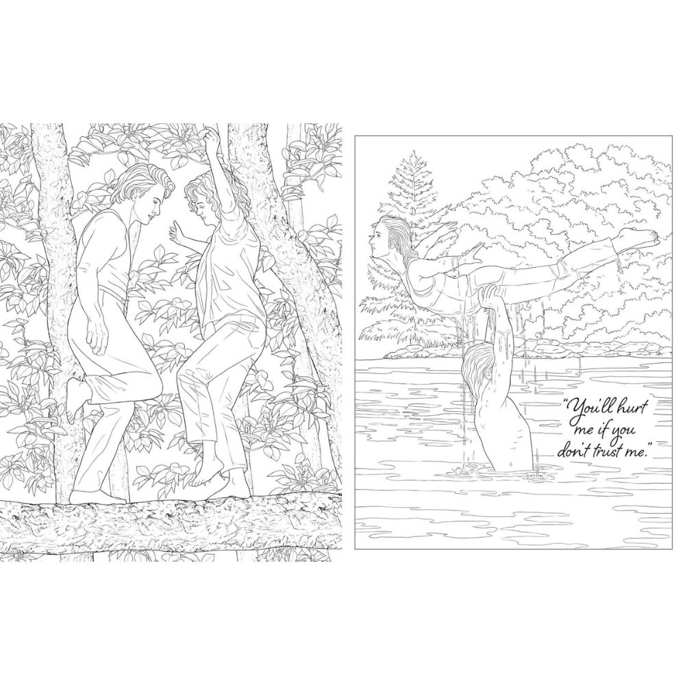 Dirty Dancing: the Official Colouring Book - RetroFestive.ca
