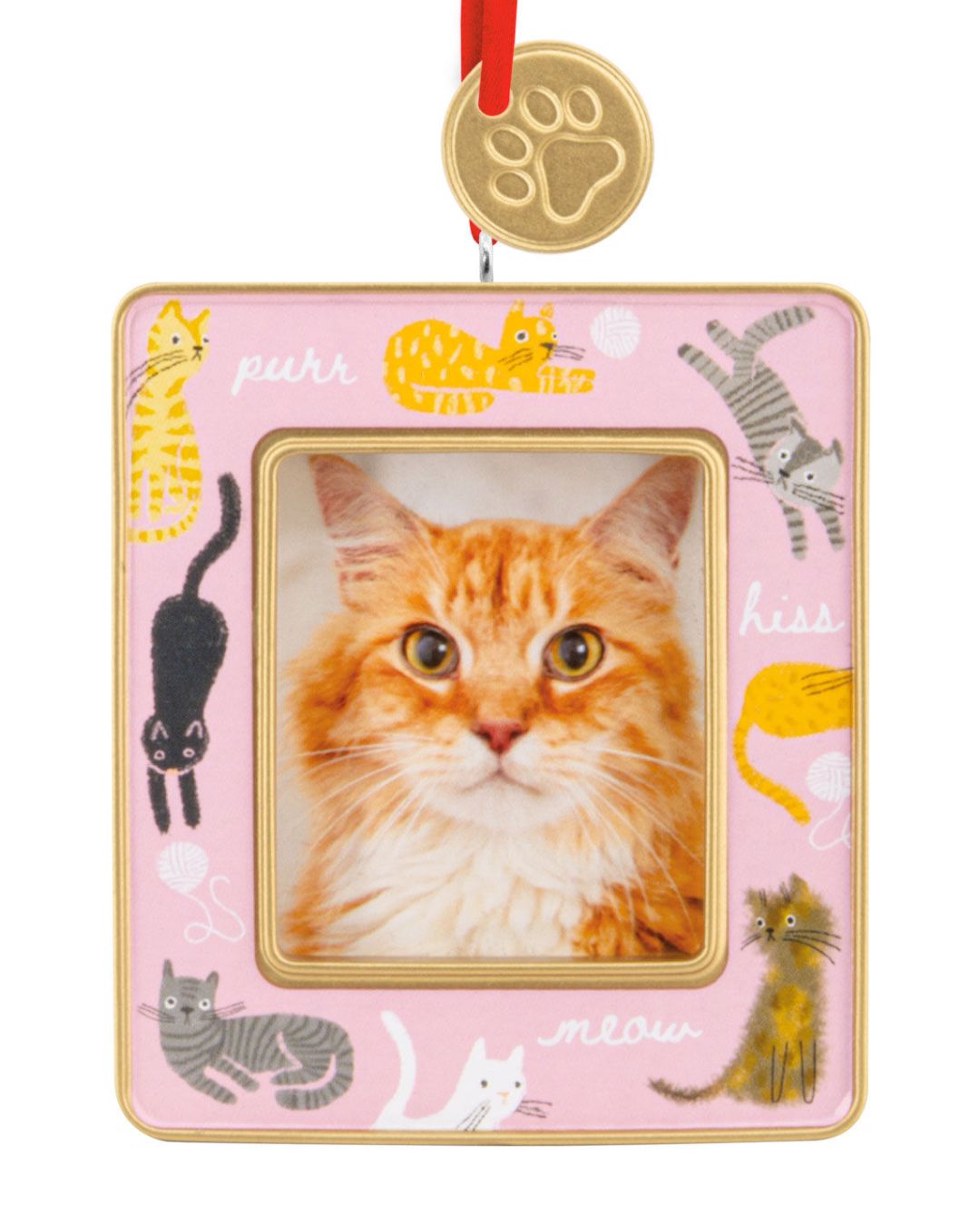 Playful Kitties Photo Ornament by Hallmark - RetroFestive.ca