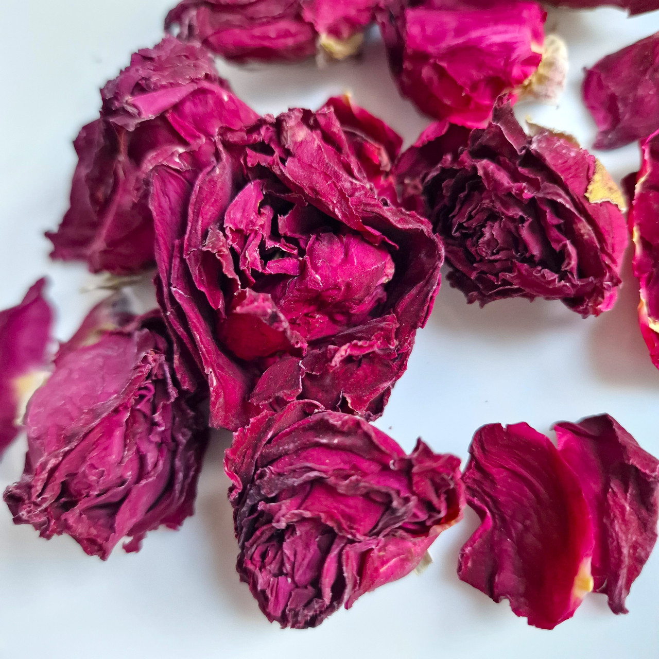 Corolla Rose - Small