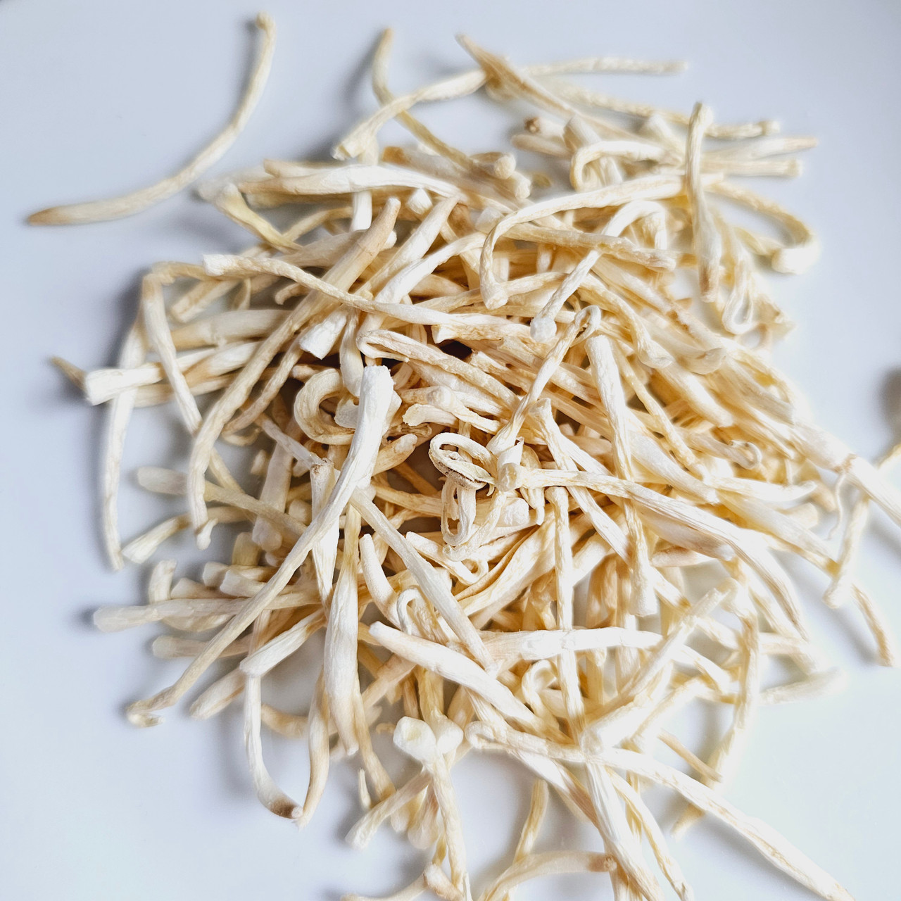Mung Beans Sprouts | Freeze Dried