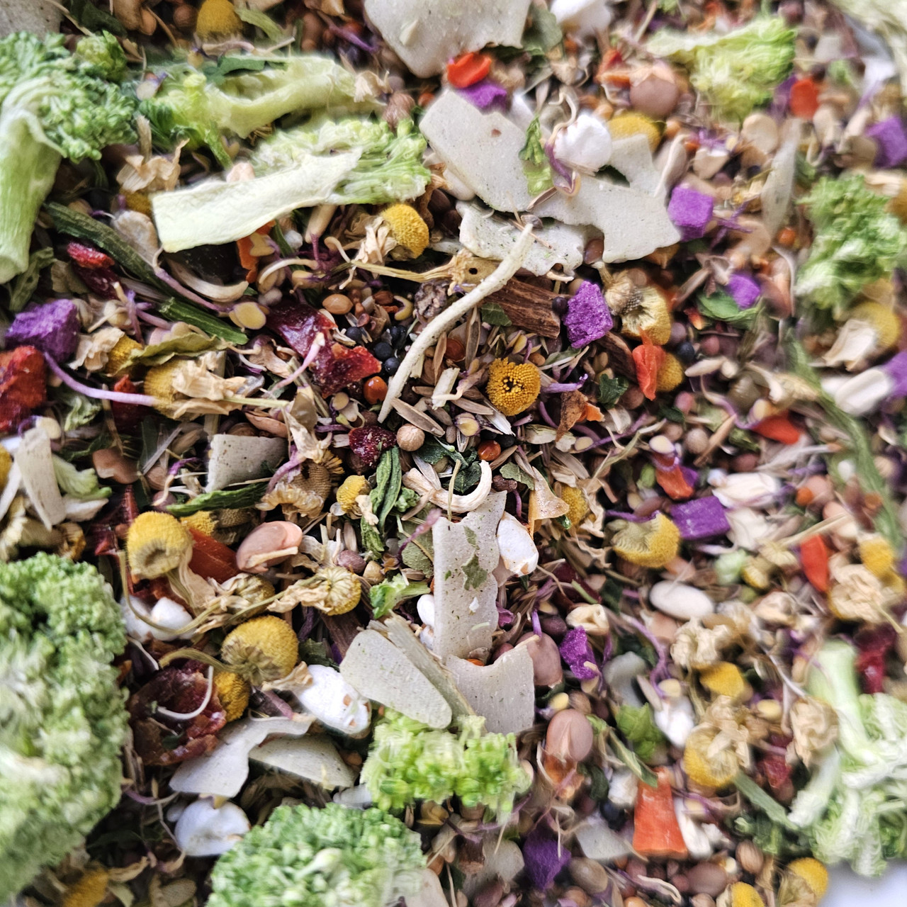 Fine Cuisine Parrot Seed Mix with Superfood
