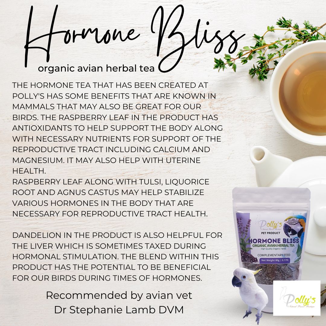 The Benefits of Hormone Avian Tea - Pollys Natural Parrot Boutique