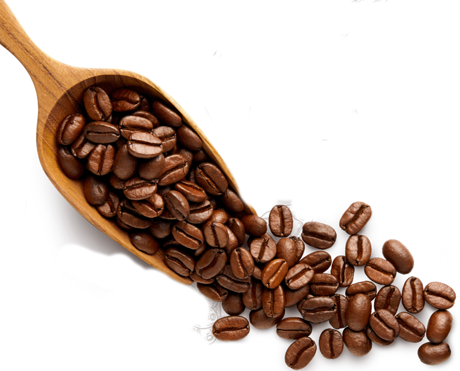 Our Products - Panettone & Pandoro - Panettone & Pandoro by Flavor ...