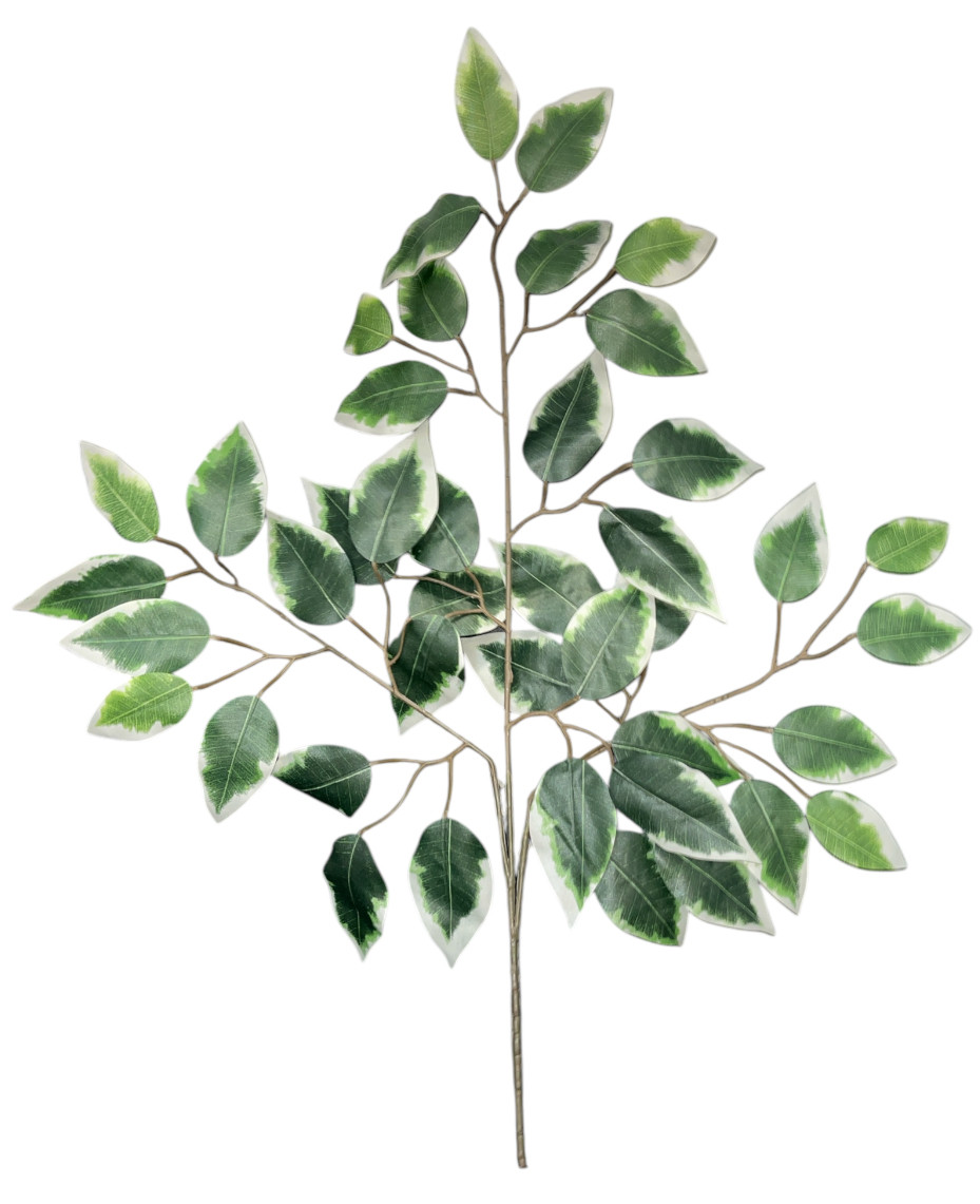 Silk Ficus Sprays (72 PC) - Thompson Wholesale, Inc.