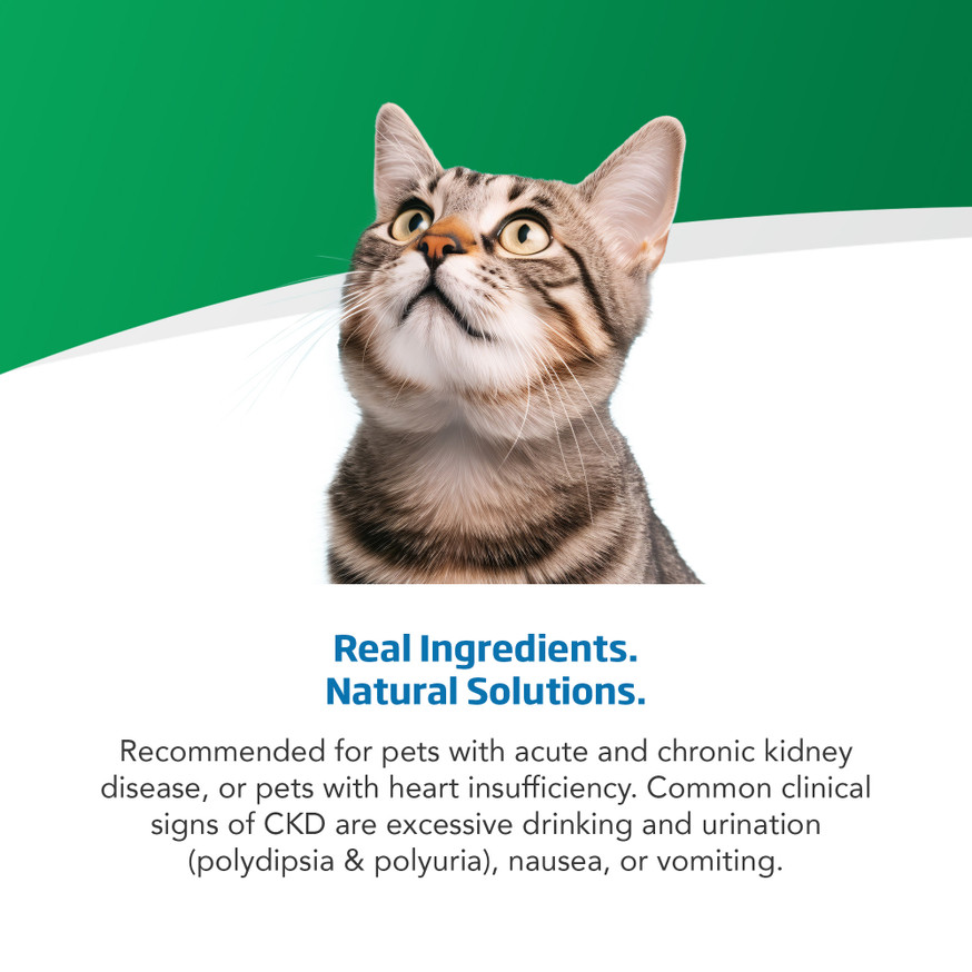 VetLife Adult Renal Feline Wet Food - TELUS Health MyPet
