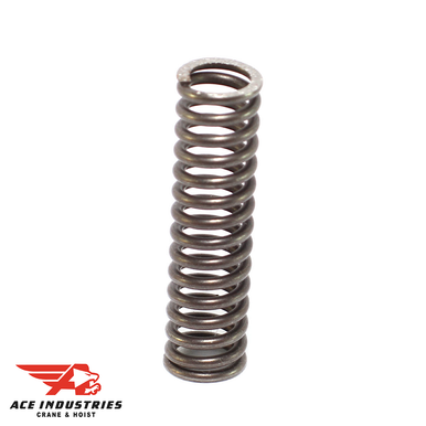 Pawl Spring (10004) 11055300