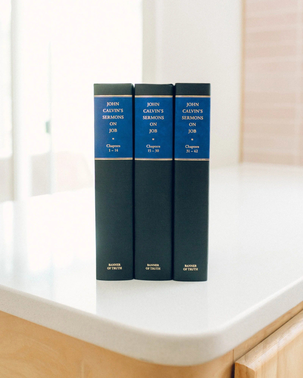 Sermons on Job, 3 Volumes (Calvin)