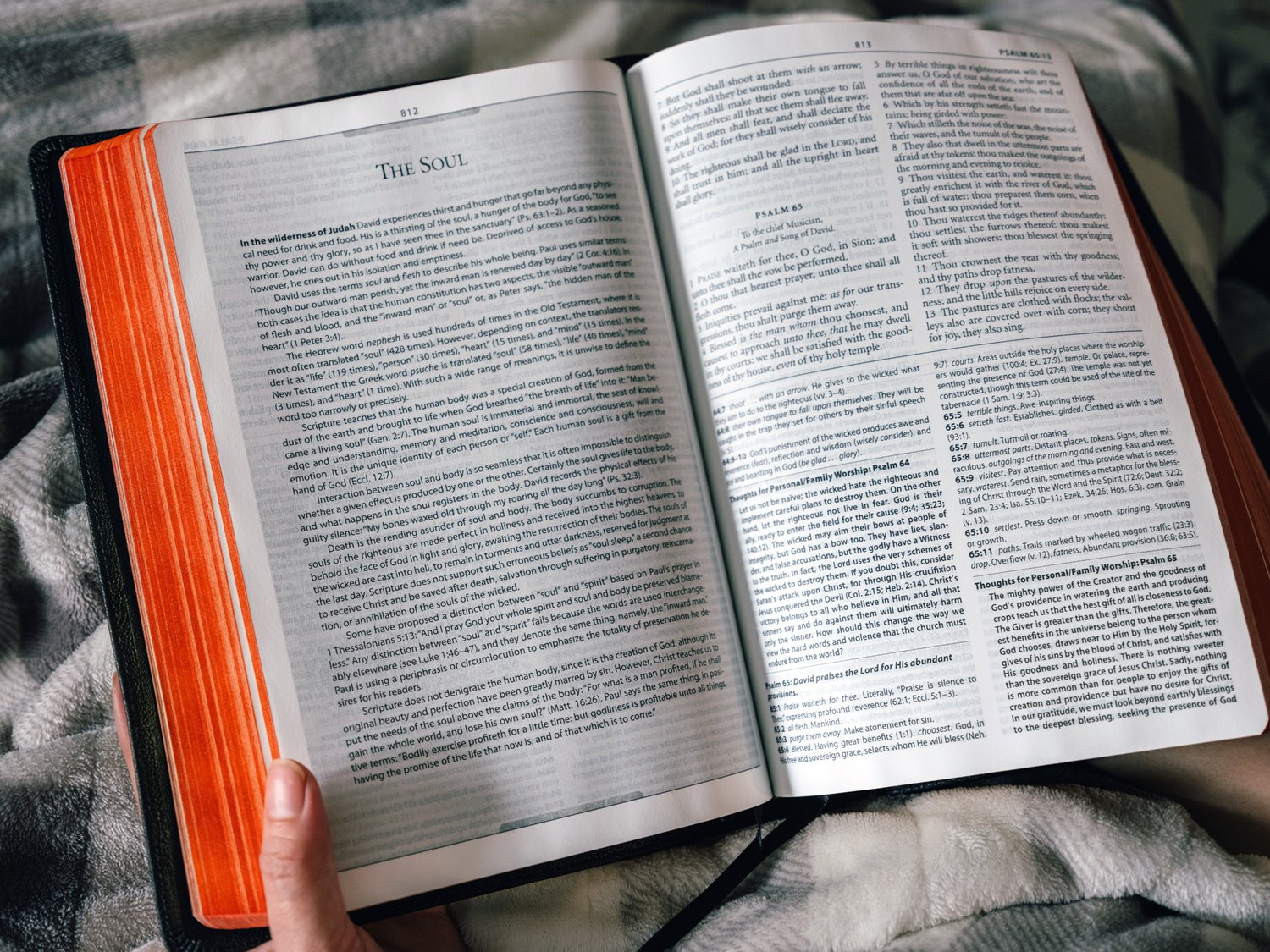 30 Puritan Quotes about the Bible - Reformation Heritage Books