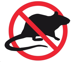 BrownstoneBin is the best rat-proof trash can enclosure - BROWNSTONEBIN