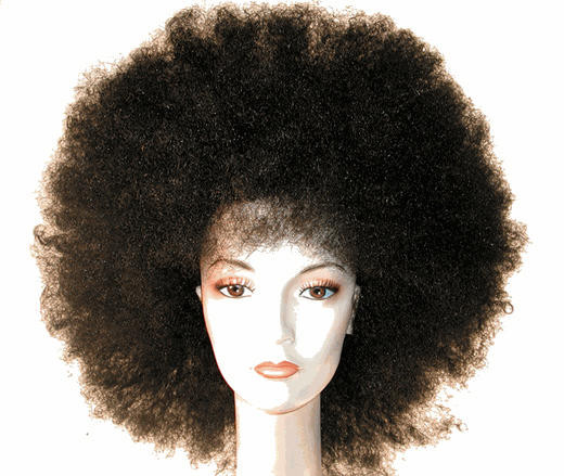 Categories - Wigs - Hot Products - Afro Wigs - City Costume Wigs