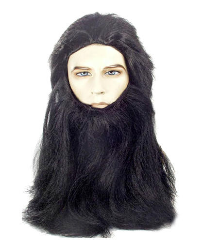 Frederick Douglass Wig and Beard Set - City Costume Wigs