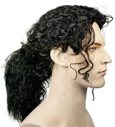 Michael Jackson Ponytail Wig - City Costume Wigs