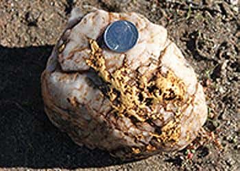 Thanksgiving Gold - Kellyco Metal Detectors