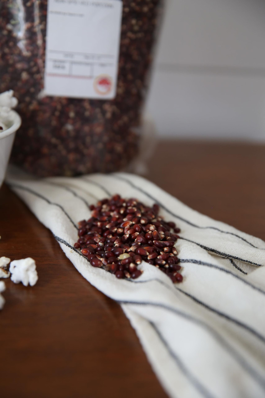 Red Popcorn Kernels in Bulk | Kauffman Orchards in PA