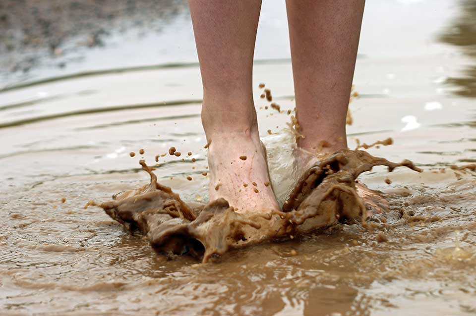 Mud Sales - Kauffman Orchards