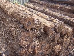 Ponga Log 2.4M - Big Jims Garden Centre