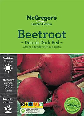 MG Beetroot Detroit Dark Red - Big Jims Garden Centre