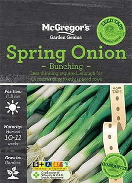 MG Spring Onion Seed Tape - Big Jims Garden Centre
