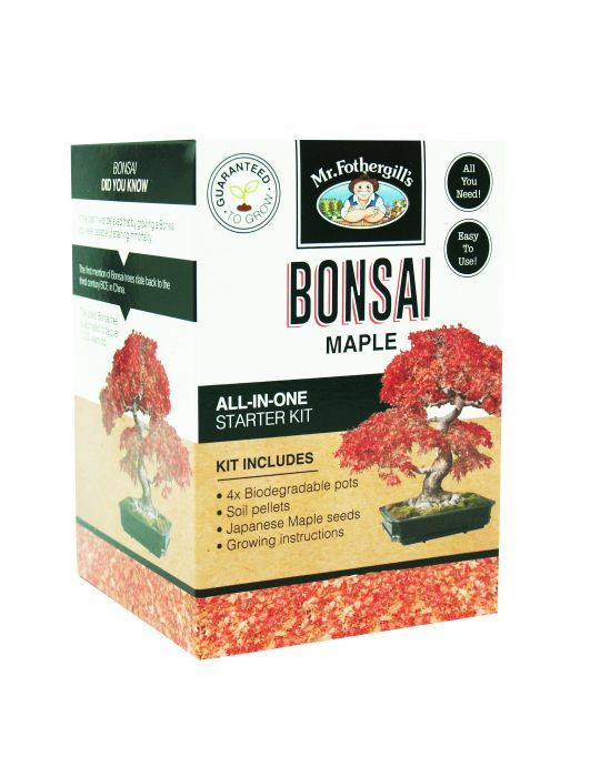 Bonsai Kit - Maple - Big Jims Garden Centre