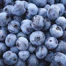 Blueberry 'Dixi' 3.3L - Big Jims Garden Centre