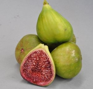 Fig 'Candy' 3L - Big Jims Garden Centre