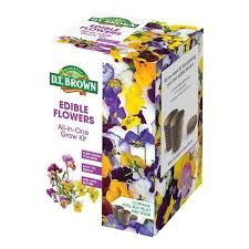 Grow Kit - Edible Flowers - Big Jims Garden Centre