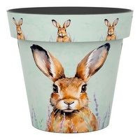Pot - Zest Hare 15cm - Big Jims Garden Centre
