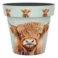 Pot - Zest Highland Cow 30cm - Big Jims Garden Centre