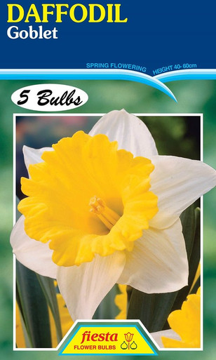 Daffodil 'Goblet' 5 - Big Jims Garden Centre