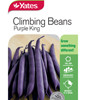 Yts Beans Climbing Purple King - Big Jims Garden Centre
