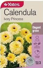 Yts Calendula Ivory Princess - - Big Jims Garden Centre