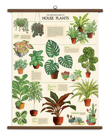School Chart - Houseplants - Big Jims Garden Centre
