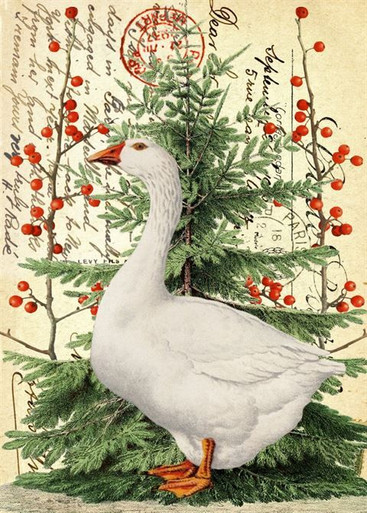 Card - Goose & Christmas Tree - Big Jims Garden Centre