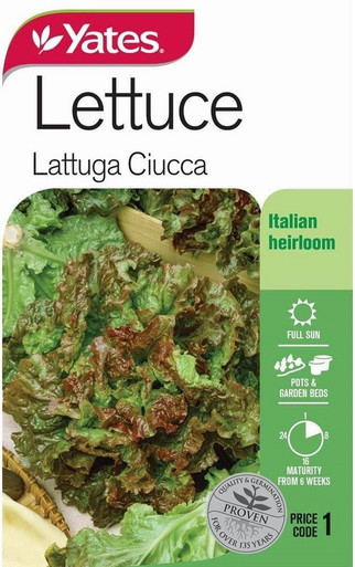 Yts Lettuce Lattuga Ciucca - 1 - Big Jims Garden Centre