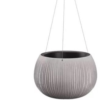 Hanging Basket - Tasman Grey 3 - Big Jims Garden Centre