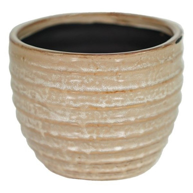 Pot - Beige Ceramic 11cm - Big Jims Garden Centre