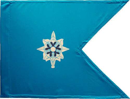 Special Forces Guidon Flag