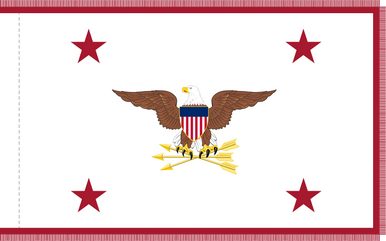 Assistant Secretary of Defense Flag, Nylon Applique Size 4'4" X 5'6 ...