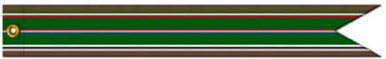 Shop US Coast Guard Battle Streamer European-African-Middle Eastern ...