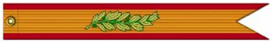 Shop US Coast Guard Battle Streamer Vietnam Gallantry Cross Palm
