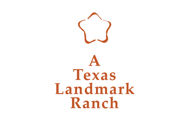 3'x5' Morgan Ranch Brand Custom Applique Flag - Eagle Mountain Flag